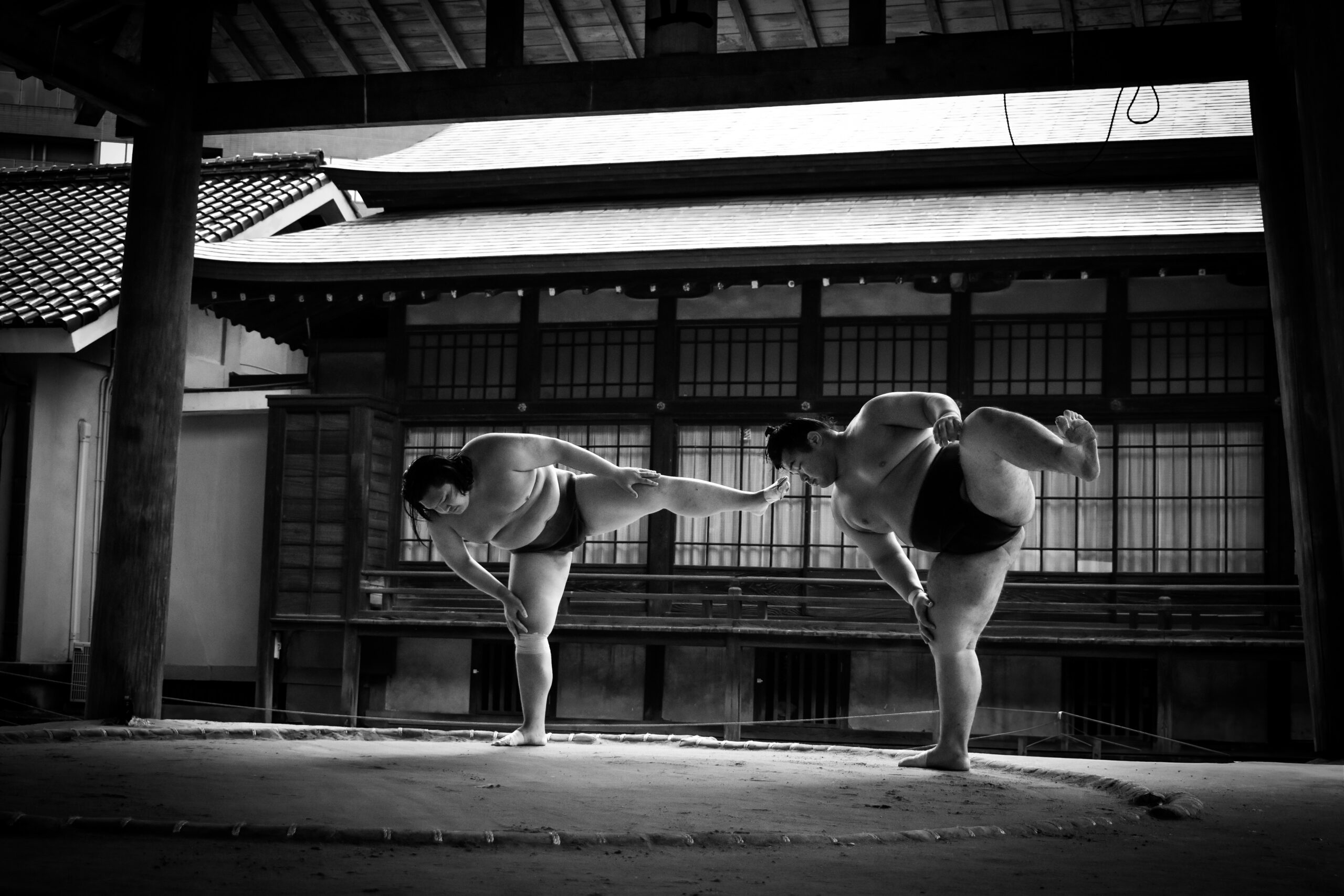 How to Watch Sumo in the UK 2026 - Nihon GO! World